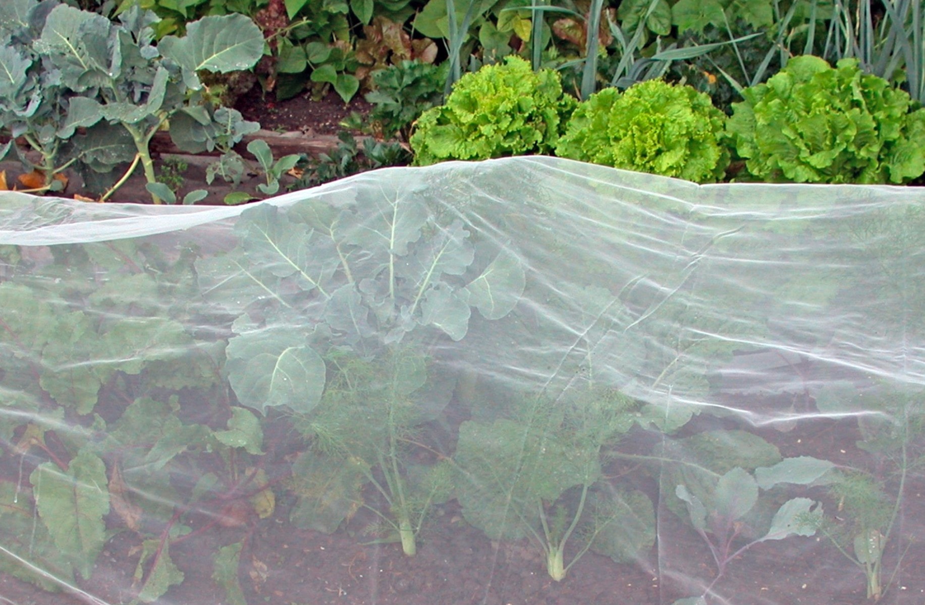 Crop Protection Nets – Andermatt Group AG