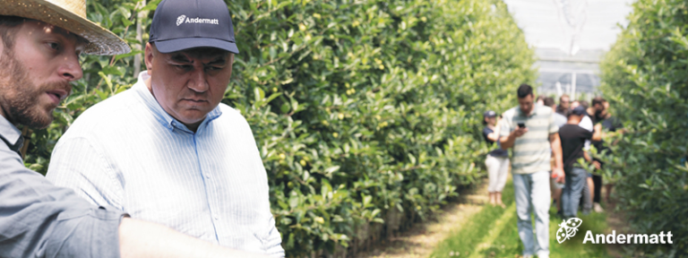 Andermatt Group Resources - Andermatt Group AG